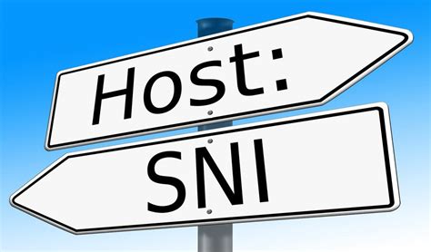 Curl Another Host