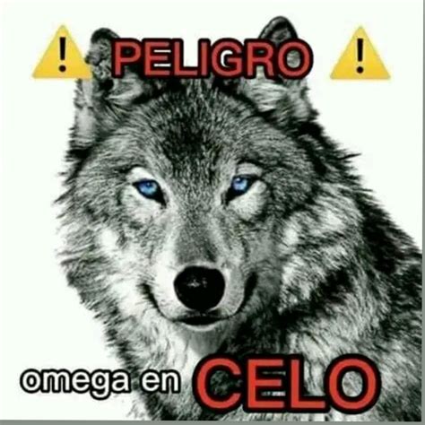 34 Ideas De Memes Lobo Imágenes Graciosas Imágenes Divertidas