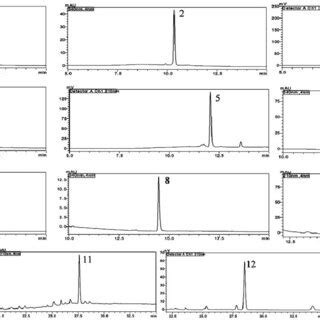 HPLC PDA Chromatogram Of Reference Compounds 1 13 In Optimized Download Scientific Diagram