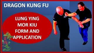 Lung Ying Kung Fu