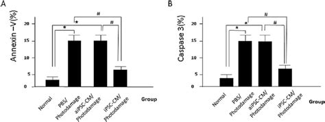 Levels Of Apoptosis Markers In Each Treatment Group Apoptosis Assay