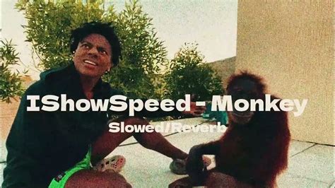 Ishowspeed Monkey Slowedreverb Youtube