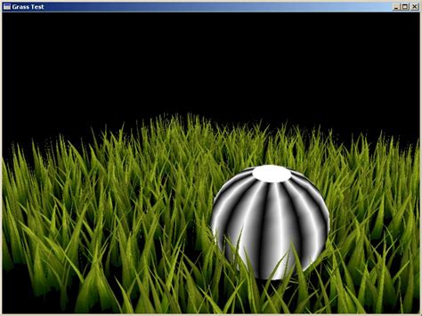 Geometric Modelling Of Plants