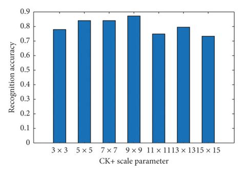 Selection Of The Mb Lbpuh Parameters On The Jaffe Ck And Tfeid