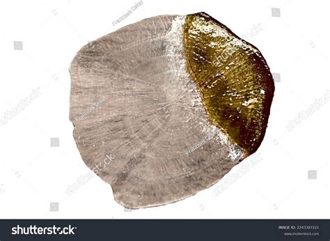 8021 Carp Scale Isolated Royalty Free Photos And Stock Images