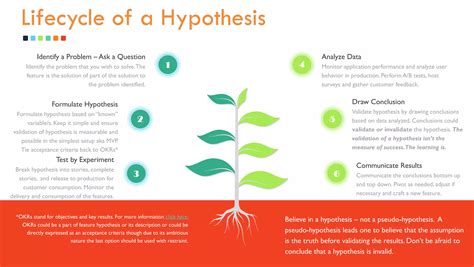 Benefit Hypothesis And Validation Pdf