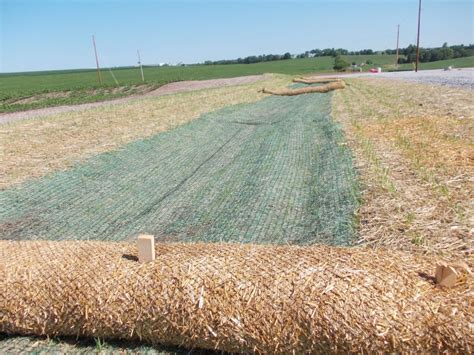 Grass Straw Netting At Dolores Bennett Blog