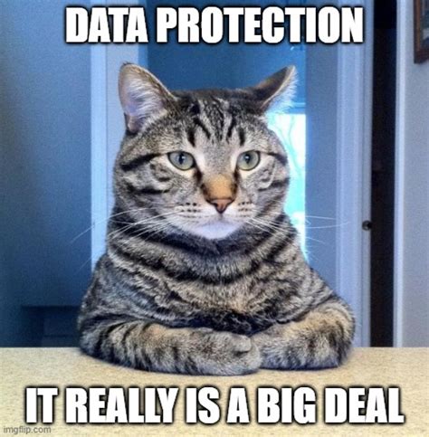 Atlassian Ai And Data Security A Delicate Balance Eye