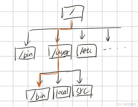 Linux 操作系统基础指令详解（一） Csdn博客