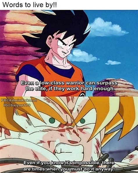 Pin By Ron Alvarez On Dbzdbs Memes Anime Dragon Ball Super Dragon