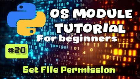 How To Set File Permissions In Python Os Module Tutorial Part 20