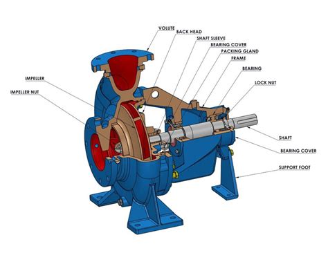 What Is End Suction Pump Meaning At Kevin Conger Blog