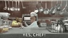Yes Chef S Tenor