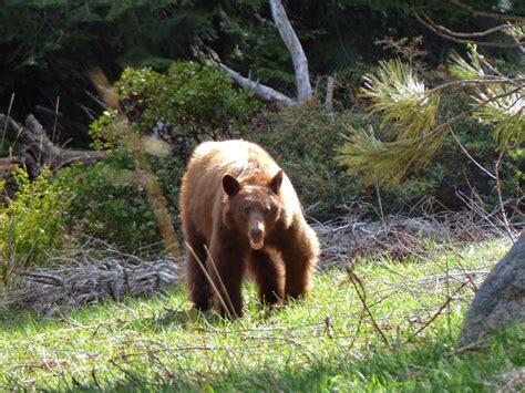 Et Pour Finir Ces Deux Parcs Nous Ont Offert Une Faune Et Une