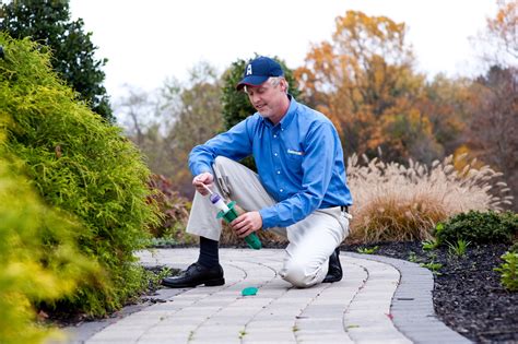 American Pest Pest Control Services In Virginia