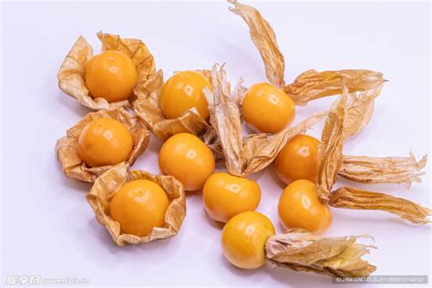 姑娘果摄影图水果生物世界摄影图库昵图网