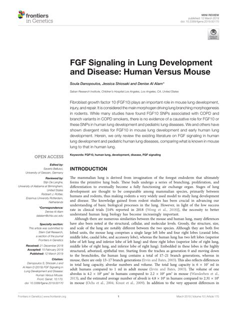 Pdf Fgf Signaling In Lung Development And Disease Human Versus Mouse