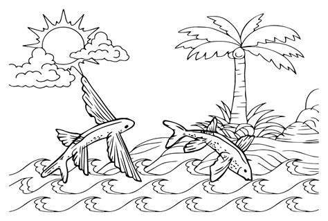 Flying Fish Coloring Pages Free Printable Pdf And Online Coloring