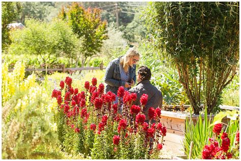 Proposal At Quivira Vineyards In Healdsburg — Stephanie Hopkins Photography