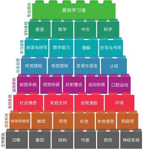 Learning Efficiency Model Neurotrees Brain Based Approach