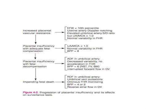 Umbilical Artery Doppler [1] Pptx