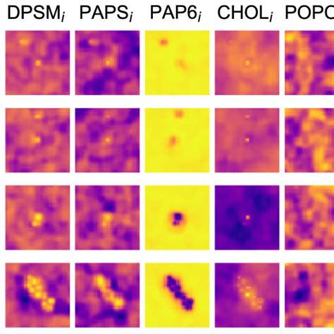 Visual Depiction Of Our Similarity Metric For A A Two Protein