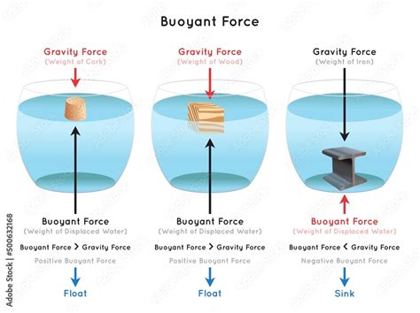 What Is Buoyancy Force With Example At Esther Thompson Blog