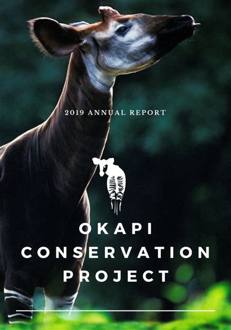 Annual Reports — Okapi Conservation Project