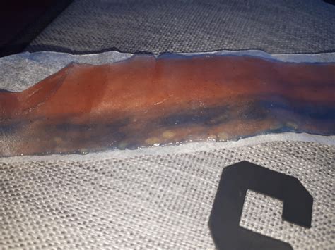 What Are These Weird Green Blobs Of Stuff On My Fruit By The Foot They Have The Texture Of A