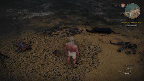 Nilfgaardian Report Witcher Wiki Fandom