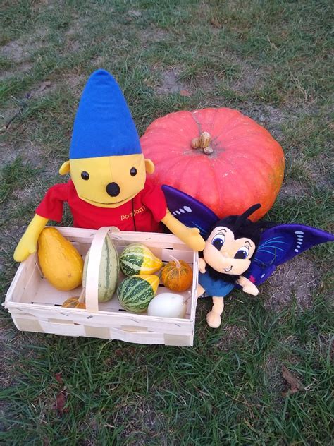 Eigen Kweek Moestuin Wijk