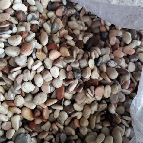 Jual Batu Coral Putih Kecil 1 Kg Batu Taman Kecil Batu Sikat Batu