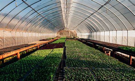 Controlled Environment Agriculture Startup Hippo Harvest Raises 21m