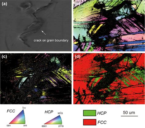 Variation Of The Volume Fraction Of The Deformation Induced Hcp Phase Download Scientific