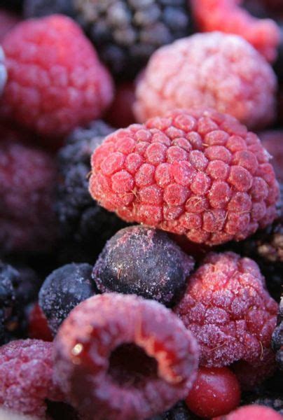 Aprende A Congelar La Fruta De La Manera Correcta Con Estos Trucos Y Consejos Mui Kitchen