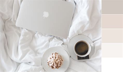 Color Psychology And Its Impact On Human Behavior