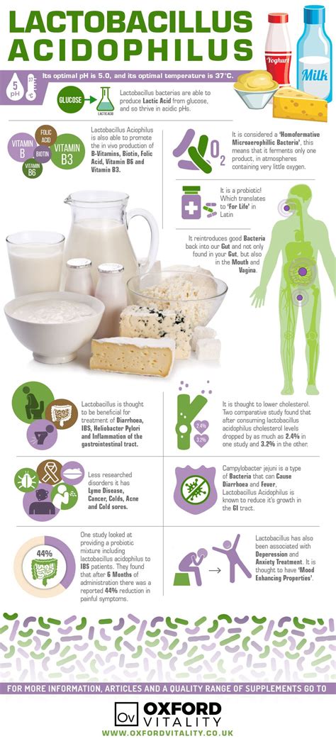 Benefits Of Lactobacillus Bulgaricus