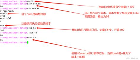 Shell脚本函数及数组 Csdn博客