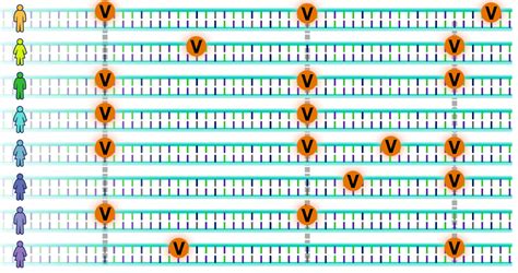 Pontikos Lab Genetic Landscape Of Rare Disease Patients