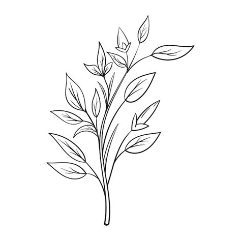 Um Desenho De Uma Planta Com Folhas Vetor Premium