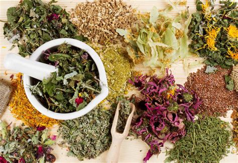 Herbs For Beauty And Health What Herbs Are Rejuvenating