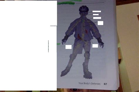 6th Grade Abeka Science And Health Final Lymphatic System Diagram Quizlet