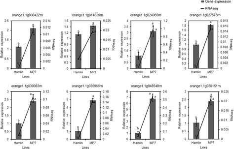 qpcr validation of the transcriptome analysis of selected degs