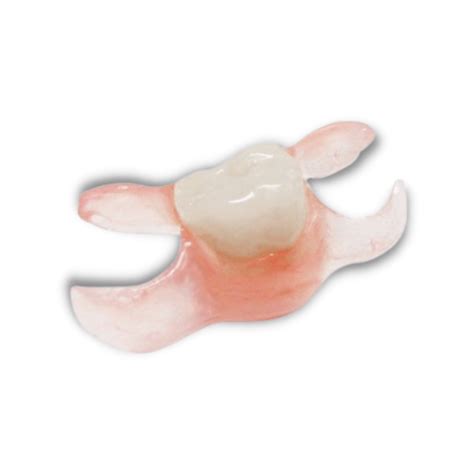 Flexi Unilateral Nesbit Streamline Dental