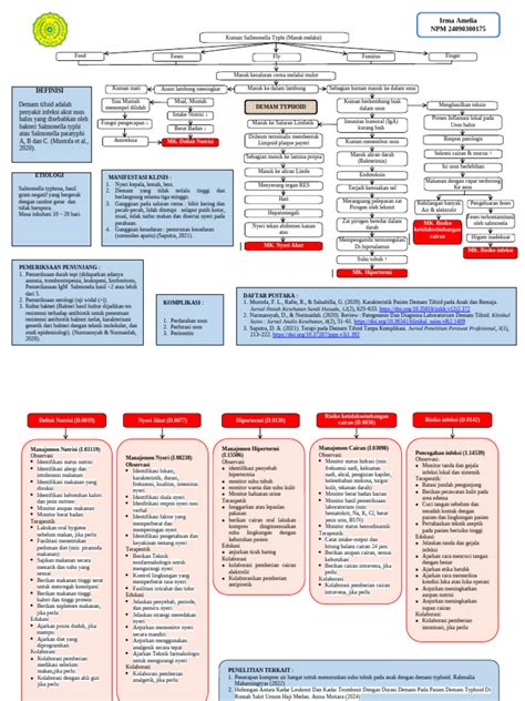 Gejala Dan Penanganan Demam Tifoid Pdf