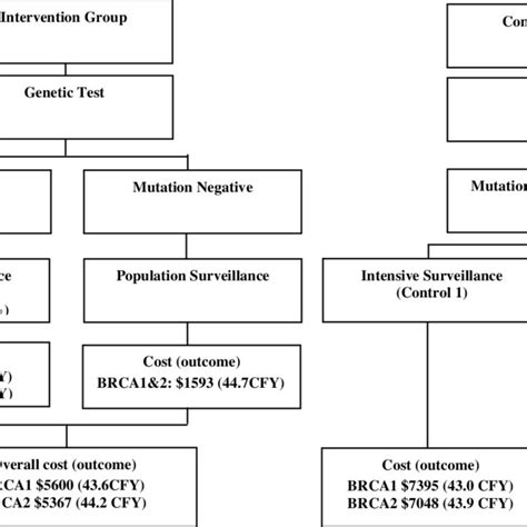 Predictive Genetic Testing Decision Model For Persons At High Risk Of Download Scientific