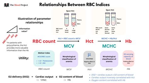 Relationship Between Rbc Indices • The Blood Project