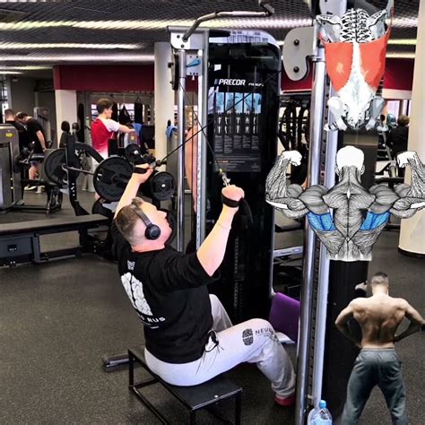 БОЛЬШИЕ КРУГЛЫЕ МЫШЦЫ СПИНЫ + ВЕРХ ШИРОЧАЙШИХ + НИЗ ТРАПЕЦИЙ #спорт # ...