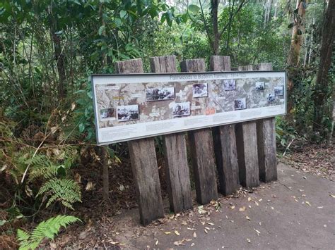 Buderim Historic Walk Walking Tour Route Map Locations Places Qld