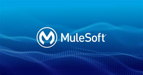 Mulesoft Chicago Mule Nosql Mongodb Redis Rest Soap Data Metadata Programming Java